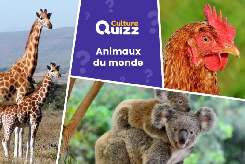 Quiz Animaux du Monde #4 - Animaux - niveau Moyen | Culture Quizz