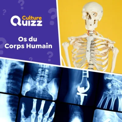 Quiz spécial Corps Humain #4 - Sciences - Niveau Facile | Culture Quizz