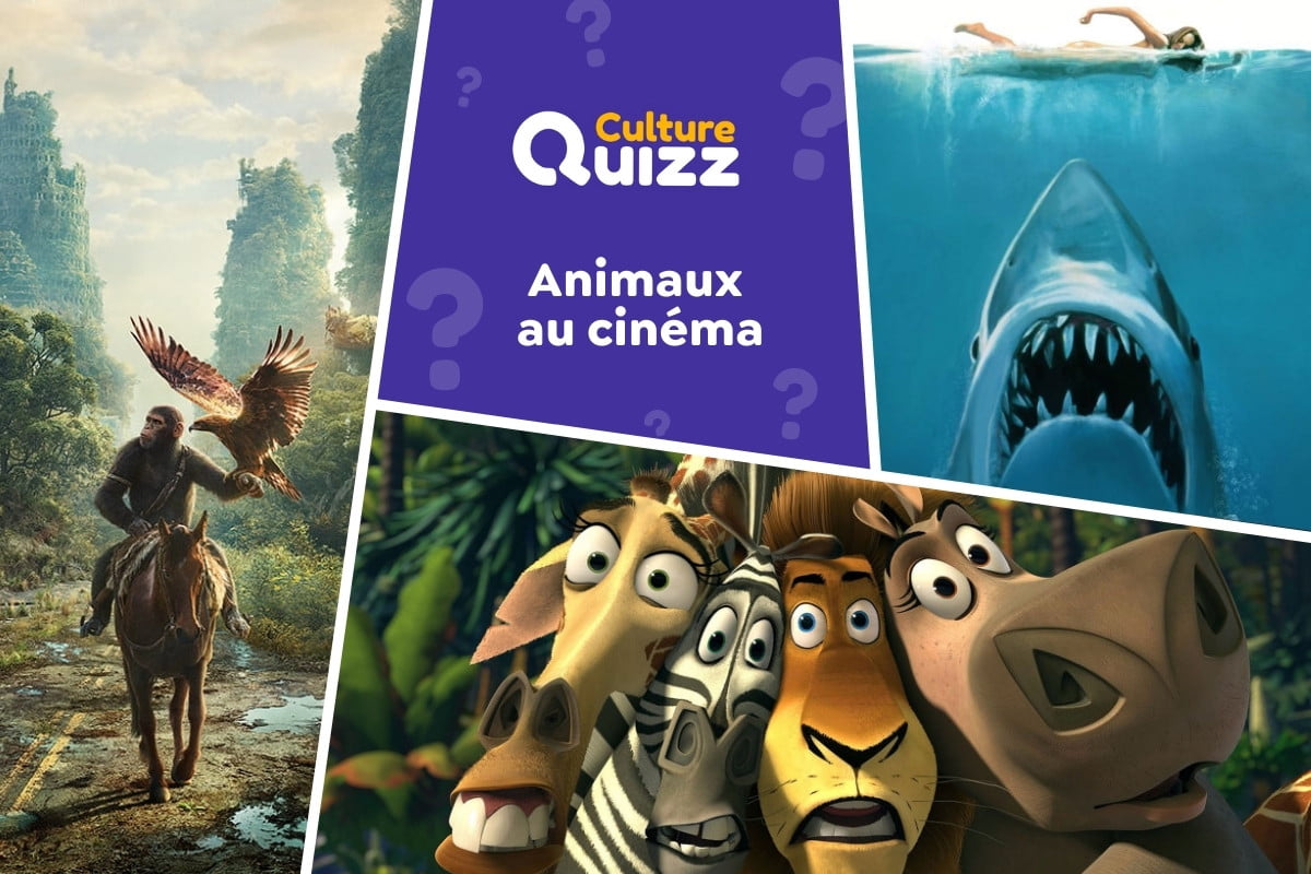 Quiz les Animaux au Cinéma #2 - Cinéma - niveau Moyen | Culture Quizz