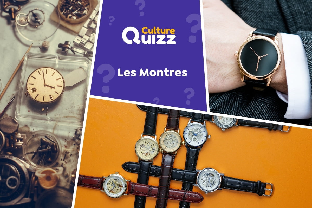 Quiz spécial sur les Montres - Vie Quotidienne - niveau Difficile ...