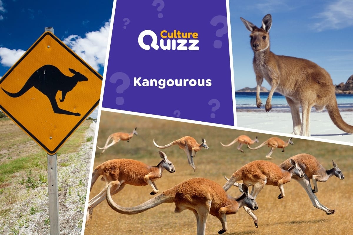 Quiz spécial Kangourous - Animaux - niveau Moyen | Culture Quizz