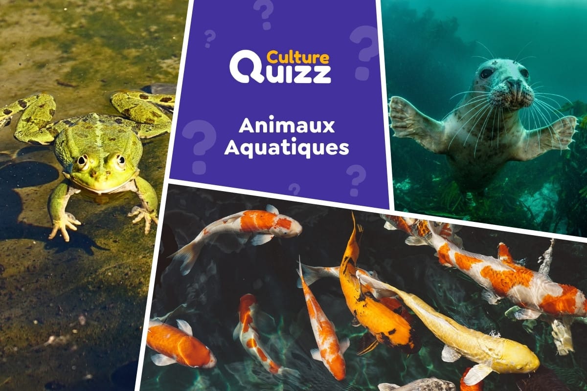 Quiz spécial Animaux Aquatiques - Animaux - niveau Moyen | Culture Quizz