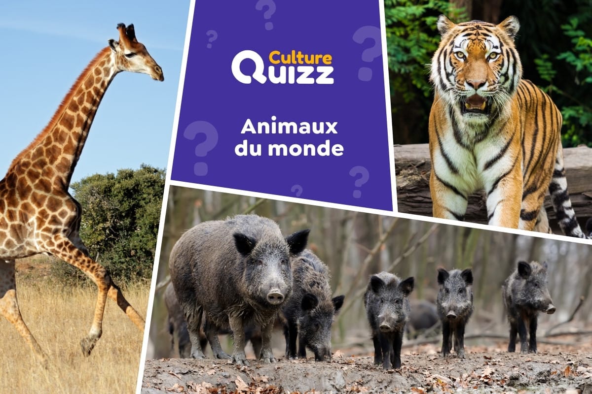 Quiz : Animaux du Monde #8 - Animaux - niveau Difficile | Culture Quizz