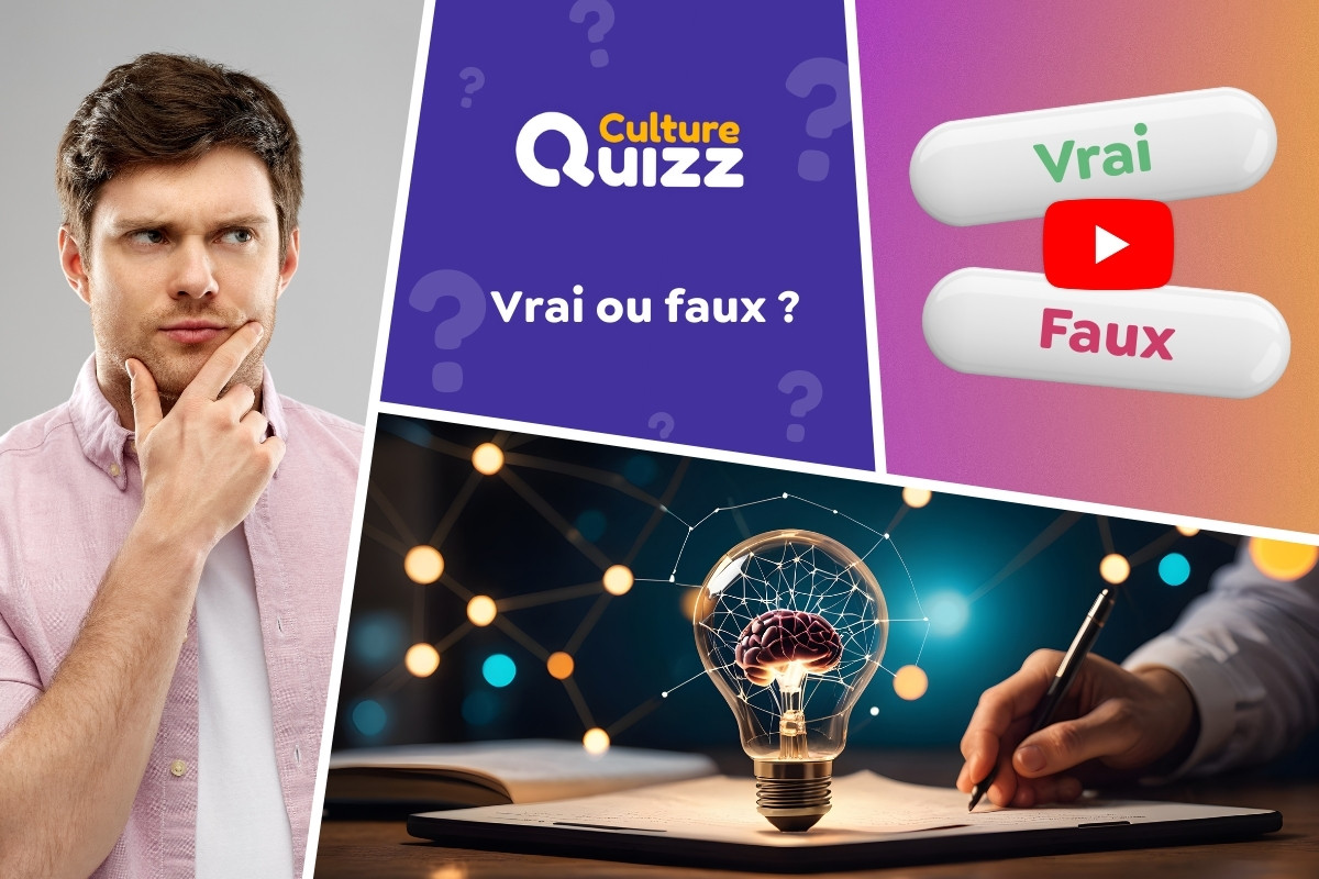 Quiz vidéo : Grand Quiz de Culture G spécial Vrai ou Faux - Culture ...